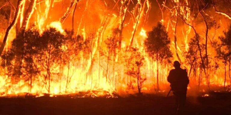 Understanding Bushfire Attack Level (BAL) Assessment: What Every ...